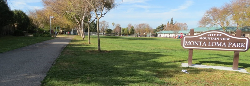 Monta Loma Neighborhood – Monta Loma Neighborhood