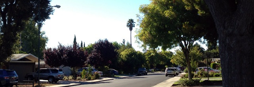Monta Loma Neighborhood – Monta Loma Neighborhood